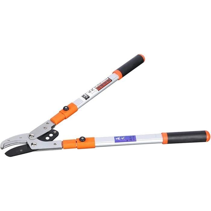 Sécateur, Ébrancheur de jardin à long manche Sk5 Ébrancheur à enclume ...