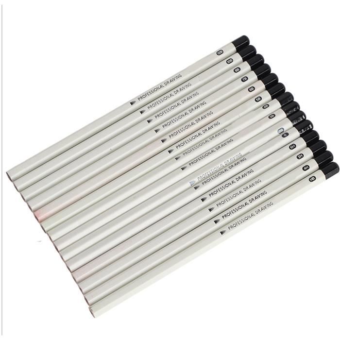 Dessin Crayon à crayons Set de crayons à dessiner en graphite professionnel avec kit d'artisanat ...