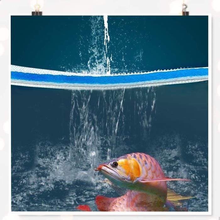 Aquarium Ouate Filtration Non Gélifiée - Soie pour Poissons Mousse ...