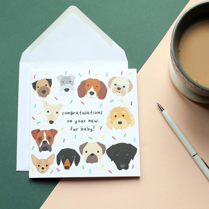 Carte De Félicitations On Your New Fourrure Pour Chien[J2674 ...