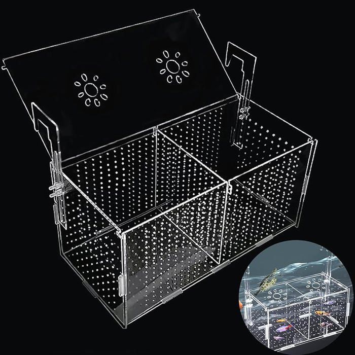Boite Elevage Poisson Aquarium Breeding Box Aquarium Boîte D& 39 ...