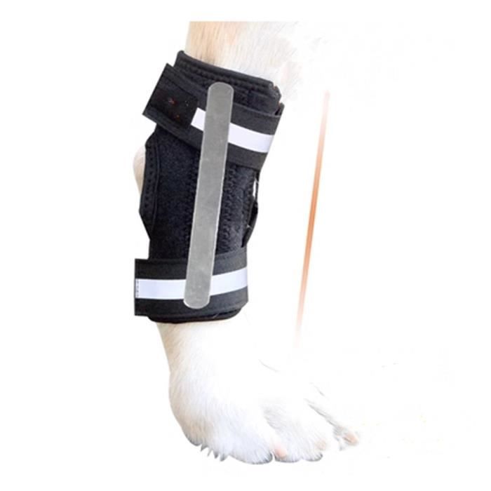 Harnais animal,Attelle de Fixation pour Fracture de Chien,Manchon de ...