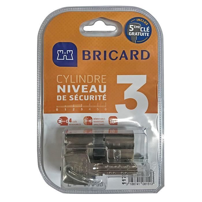 Bricard Cylindre Débrayable 5 clés ASTRAL 2,9 en laiton nickelé 10 ...
