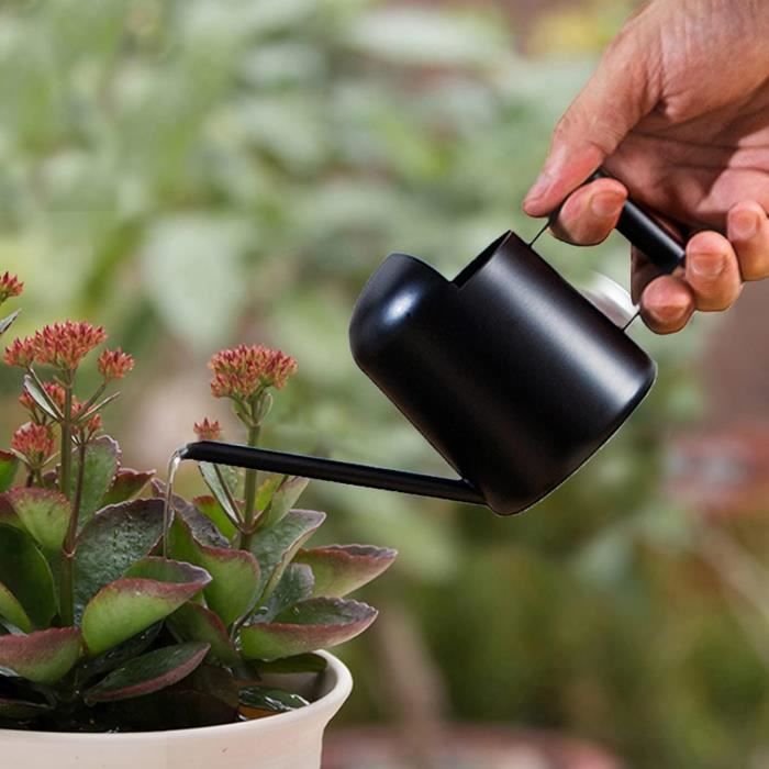 Petit Arrosoir 300Ml,Arrosoir Plante Interieur Acier Inoxydable Avec ...