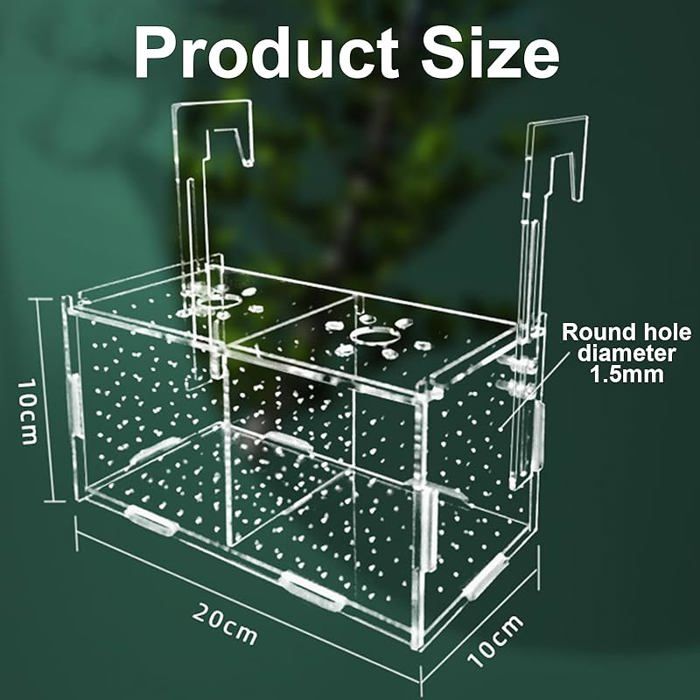Boite Elevage Poisson Aquarium Breeding Box Aquarium Boîte D& 39 ...