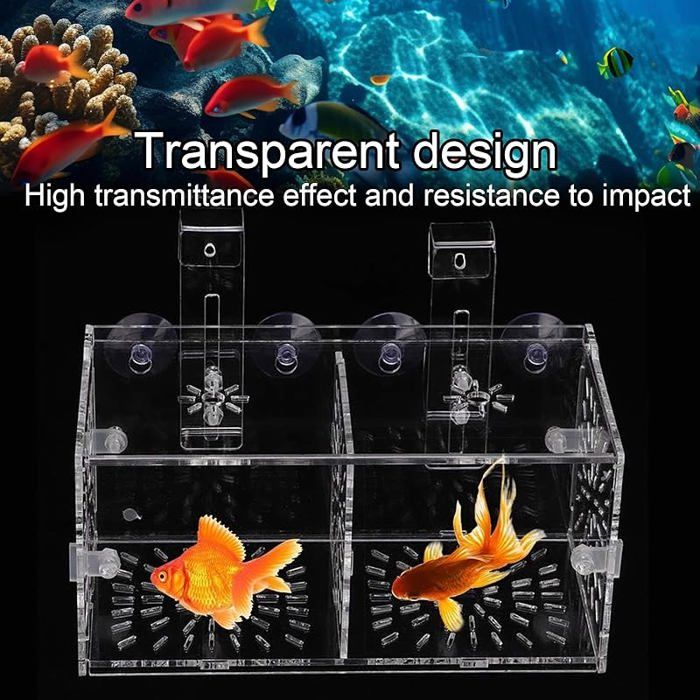 Boite Elevage Poisson Aquarium Breeding Box Aquarium Boîte D& 39 ...