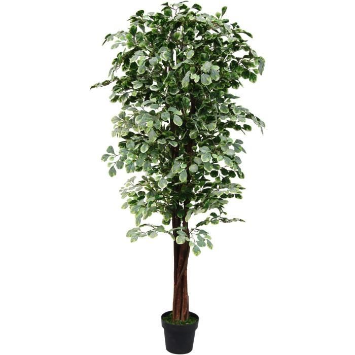 Ficus Benjamina Plante Arbre Artificielle Artificiel 180cm avec Bois ...