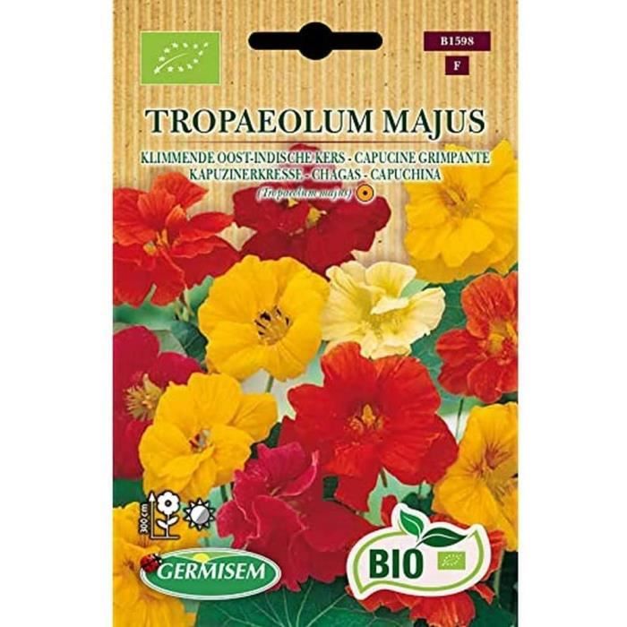 Capucine grimpante Tropaeolum majus[81] - Cdiscount Jardin