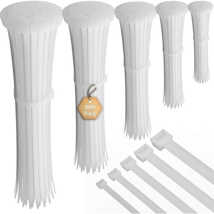 Rizlan Collier de Serrage Plastique 800 Pièces 100-150-200-250-300 mm x ...