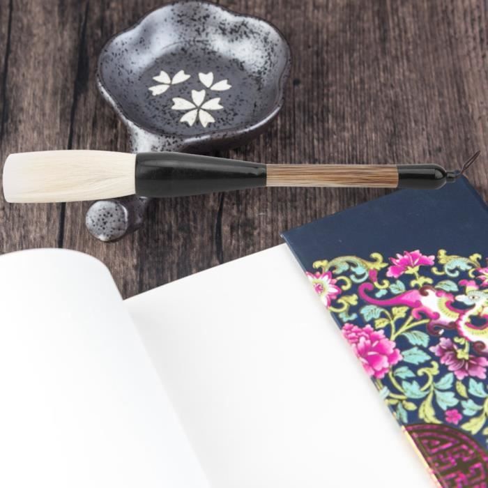 TIP Pinceaux de calligraphie traditionnelle chinoise Grand stylo de ...