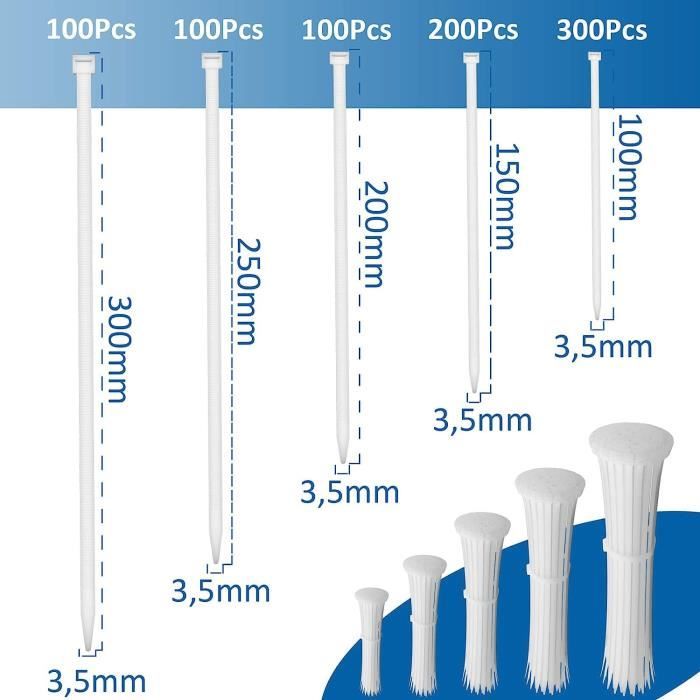 Rizlan Collier de Serrage Plastique 800 Pièces 100-150-200-250-300 mm x ...