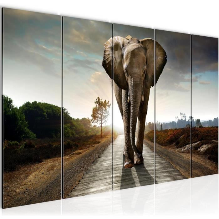 Tableau Mural Xxl Afrique Éléphant 200 X 80 Cm Marron 5 Parties ...
