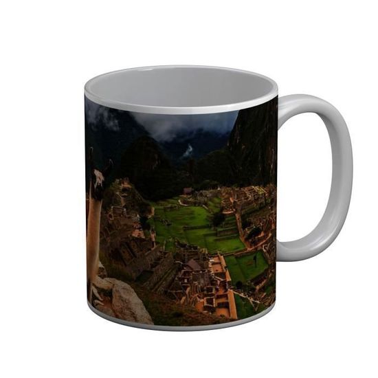 Mug Céramique Machu Picchu Lama Selfie Peru Incas - Cdiscount ...