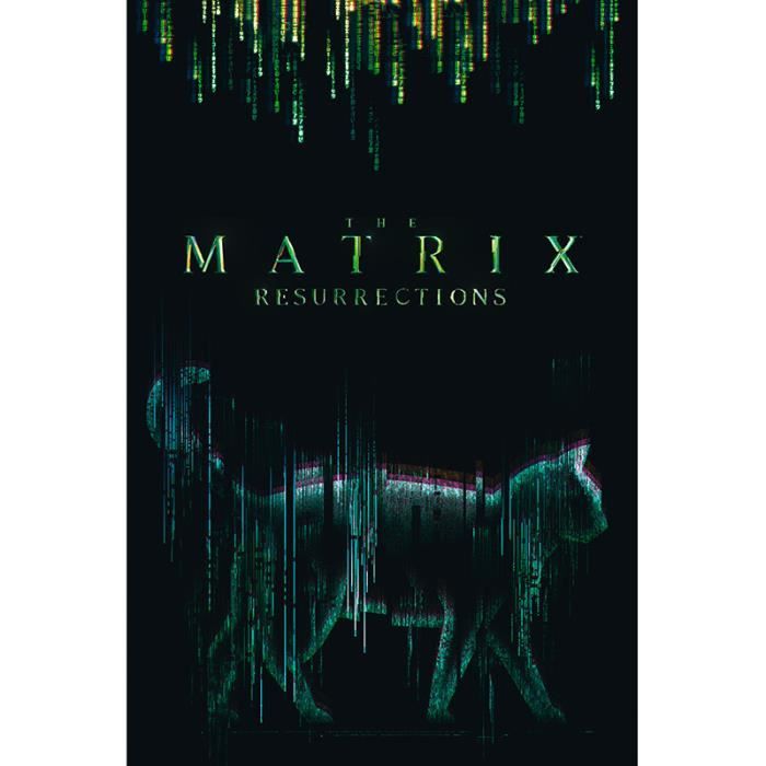 MATRIX - Poster "Chat" roulé filmé (91.5x61) - Cdiscount Maison