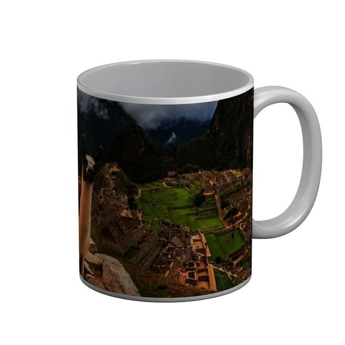 Mug Céramique Machu Picchu Lama Selfie Peru Incas - Cdiscount ...