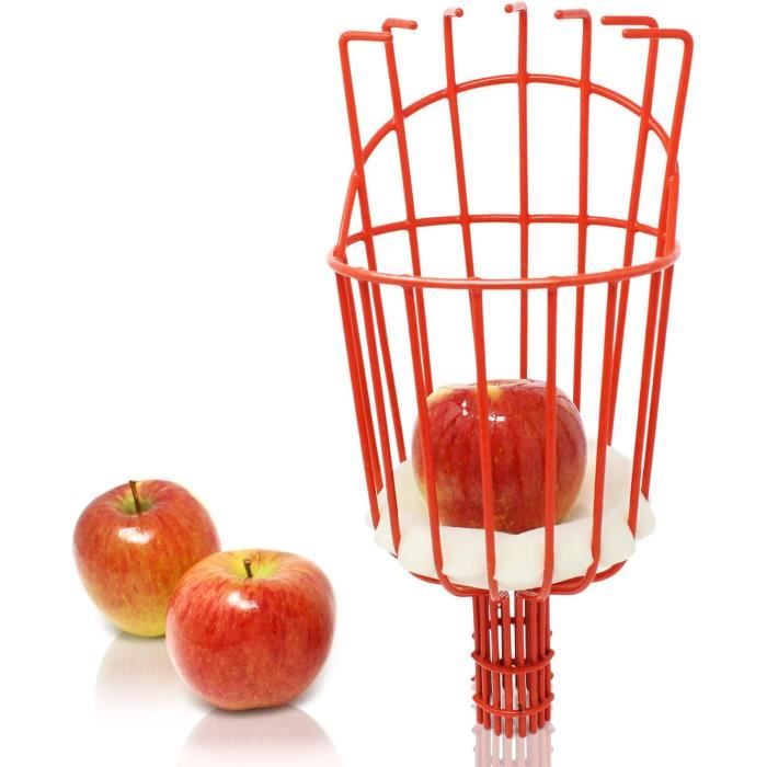 Iceberk Cueille fuits – Panier de cueillette Pratique pour la récolte ...