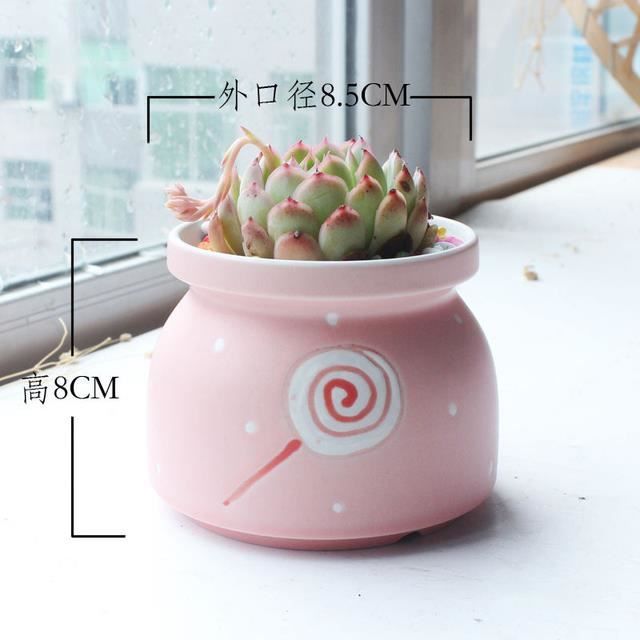 POT DE FLEUR,15--Pot de plantes succulentes avec trou, Design Floral ...