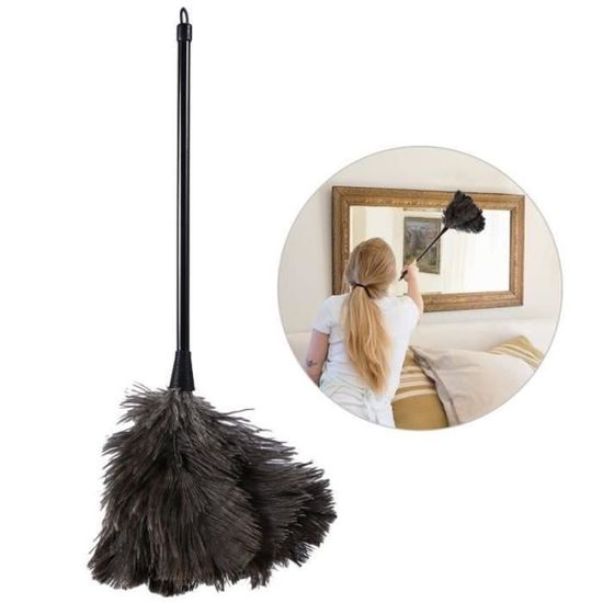 PLUMEAU - LINGETTE DEPOUSSIERANTE - USTENSILE POUSSIERE 1 pc Plumes ...