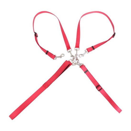 Three The The The Triple Dog Coupleur ajustable Chiot Chiot Pet Pierre ...