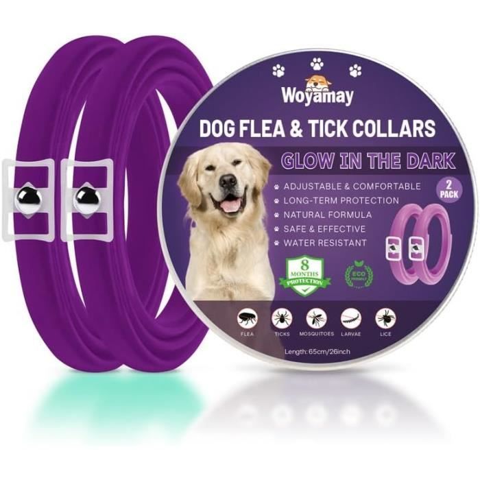Collier Anti Puces pour Chien, Lumineux Collier Chien pour Anti Puces ...