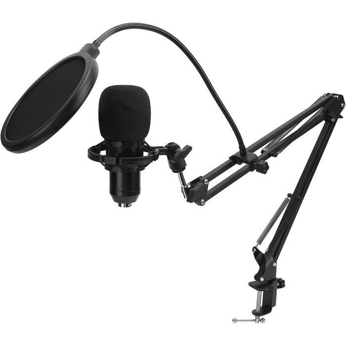 Carte Son USB pour Microphone à condensateur, Kits de Chant pour Studio ...