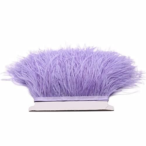 Plume de déco - Haute Qualité - Ruban de Plumes Colorées - 10 mètres ...