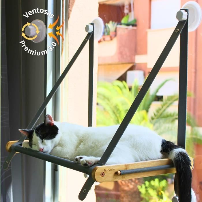 Hamac Chat Fenêtre Hamac Chat Hamac pour Chats Lit Fenêtre pour Chat ...
