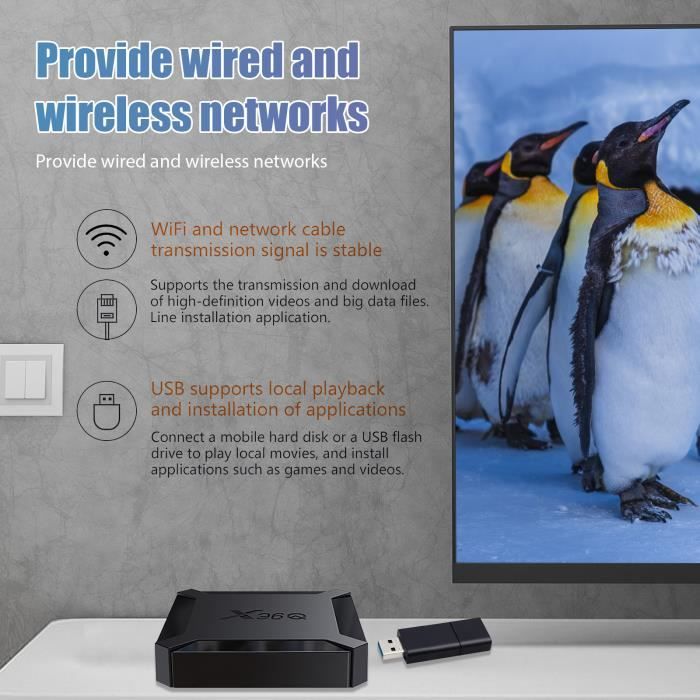 Boîtier IPTV - PRUMYA - X96Q - Android 10.0 - 4K - WiFi - 1G RAM 8G ROM ...