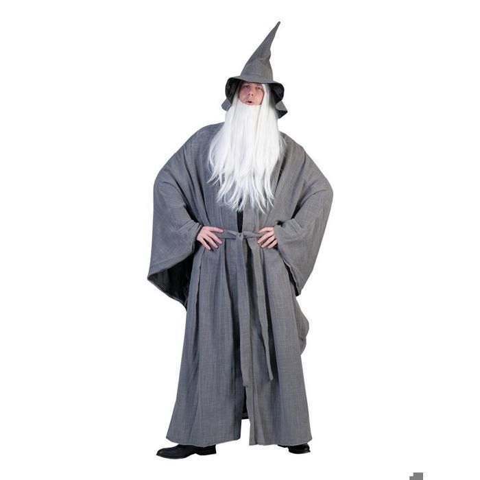 Déguisement Gandalf, Merlin L'enchanteur (pour homme adulte)(T.U ...