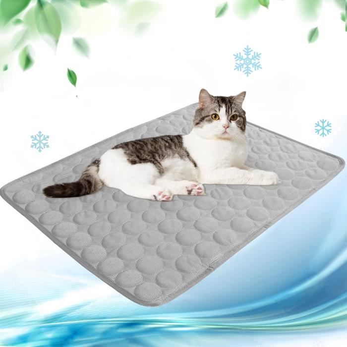 Tapis Rafraîchissant Chien Tapis Coussin Réfrigérant Chien Tapis Froid ...