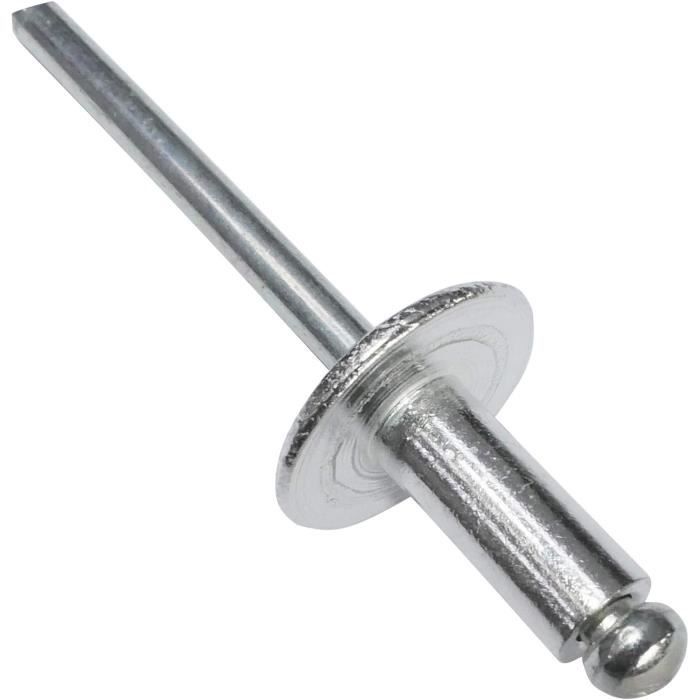 C48169 - Lot De 100 Rivets Aveugles Ø5X12Mm À Tête Large 14Mm - Din ...