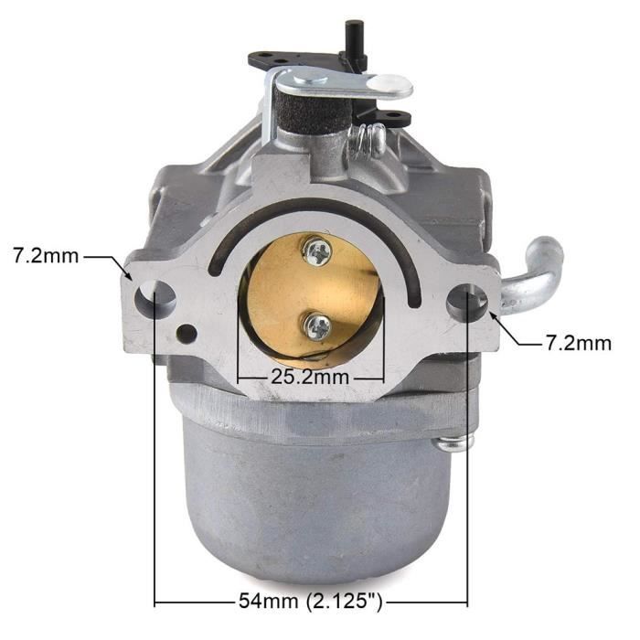 Carburateur 21b972 590399 796077 Pour Briggs & Stratton 21a807 21a877 ...
