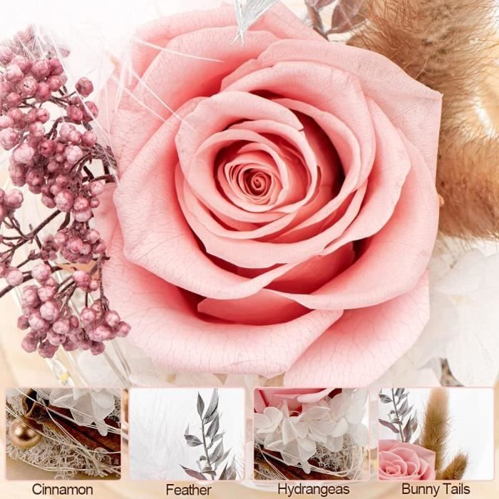 Rose Éternel, Naturelle Fleur Eternelle Sous Cloche Avec Lumière Led ...