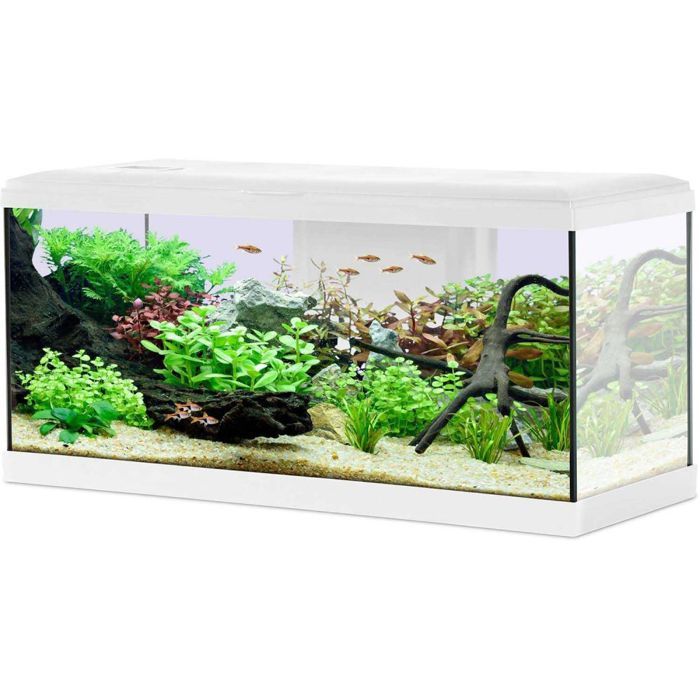 Aquarium Poisson Tana Led 80cm Blanc - Zolux - Cdiscount Animalerie