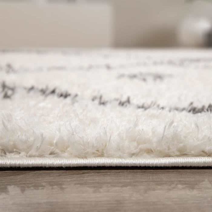 Tapis Shaggy Tapis De Salon Tapis Poils Longs Scandinave Franges Moelleux Moderne Poils Longs ...