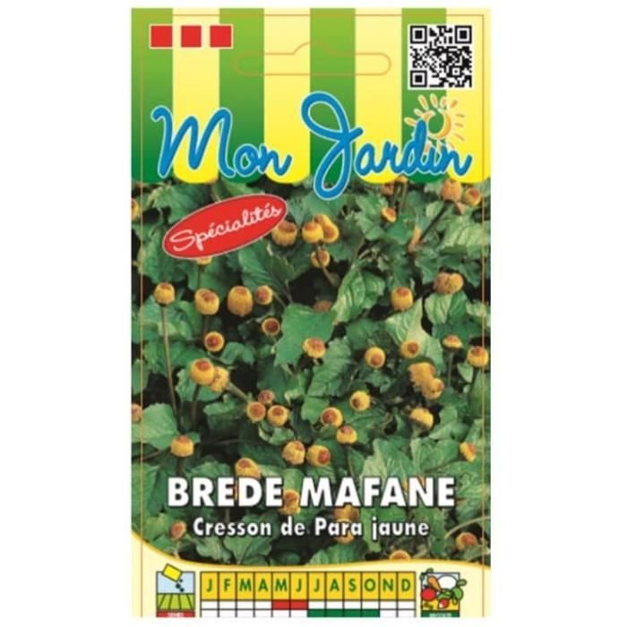 Sachet de graines de Brede Mafane - Cresson Para jaune - 0,2 g - A131 ...