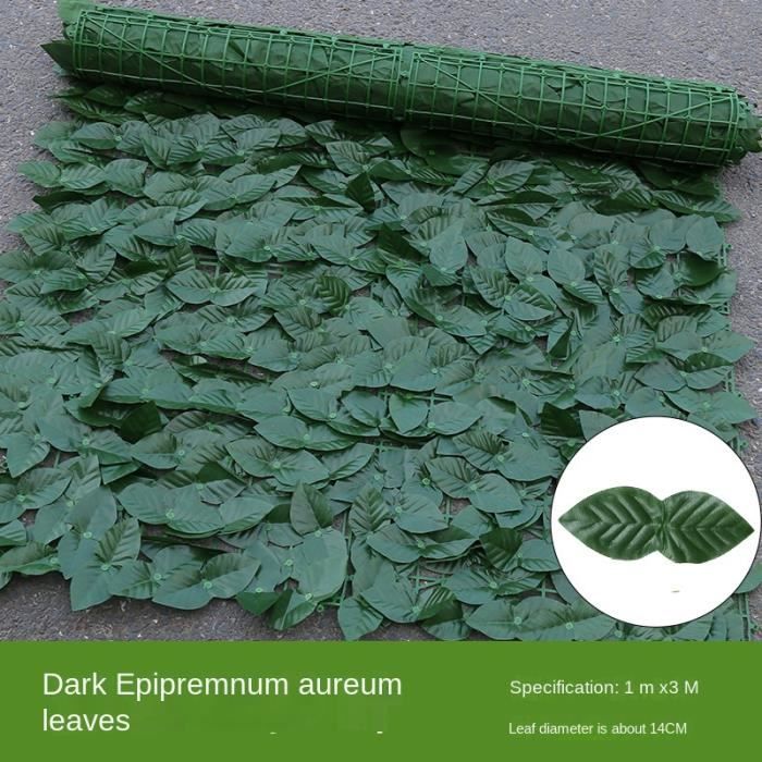 Aneth vert foncé - 1MX2M - Clôture de confidentialité en lierre ...