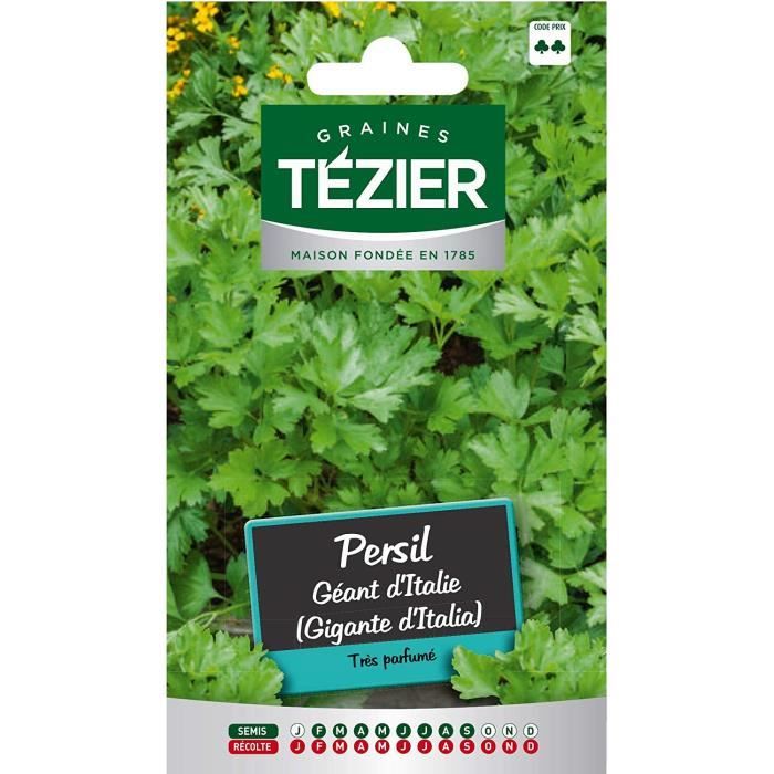 Sachet Graines - Tezier - Persil Géant d'Italie (Gigante d'Italia ...