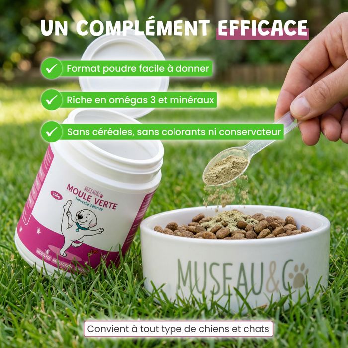 Moule Verte de Nouvelle Zélande 100g chien et chat, Arthrose, Mobilité ...