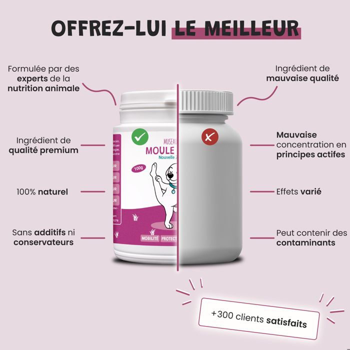 Moule Verte de Nouvelle Zélande 100g chien et chat, Arthrose, Mobilité ...