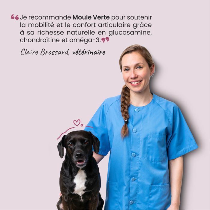 Moule Verte de Nouvelle Zélande 100g chien et chat, Arthrose, Mobilité ...