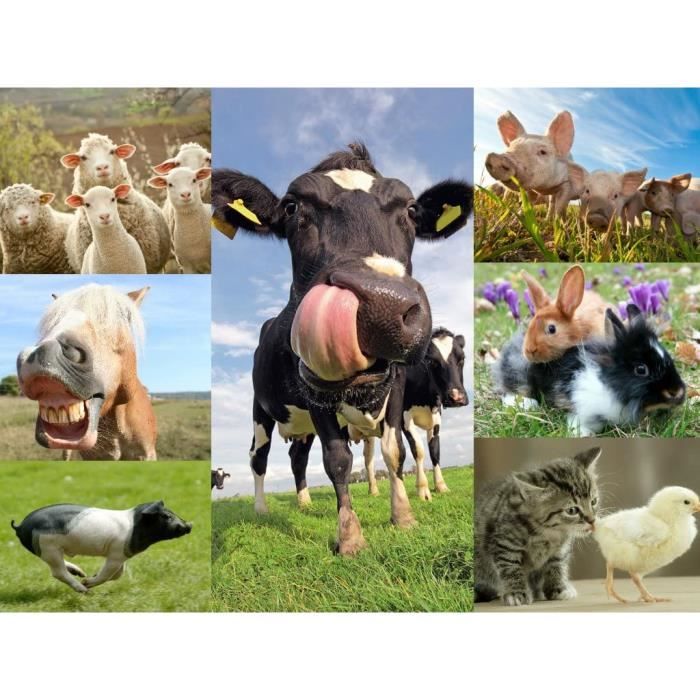 "ferme animal-postcards : Lot de 14 cartes postales Animaux de la ferme ...