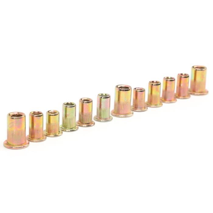 EJ.life Jeu d'écrous à rivets 150pcs Jeu d'Écrous d'Insert à Rivet en ... EJ.life Jeu d'écrous à rivets 150pcs Jeu d'Écrous d'Insert à Rivet en ...