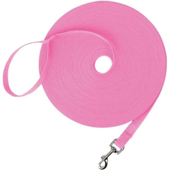 Laisse De Dressage Pour Chien-Chiot,Laisse De Rappel D'Obéissance,4.9 M, 7 M, 10.1 M, 15.2 M Et ...