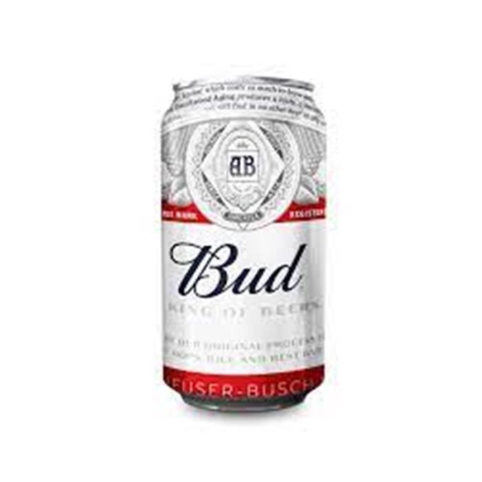 Bud bière blonde 5° 4 packs de 6 canettes 33cL - La cave Cdiscount