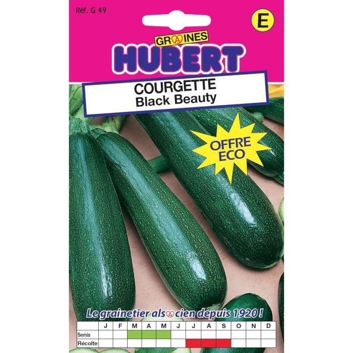 Courgette Black Beauty Format Eco - 12 Grammes[z3913] - Cdiscount Jardin