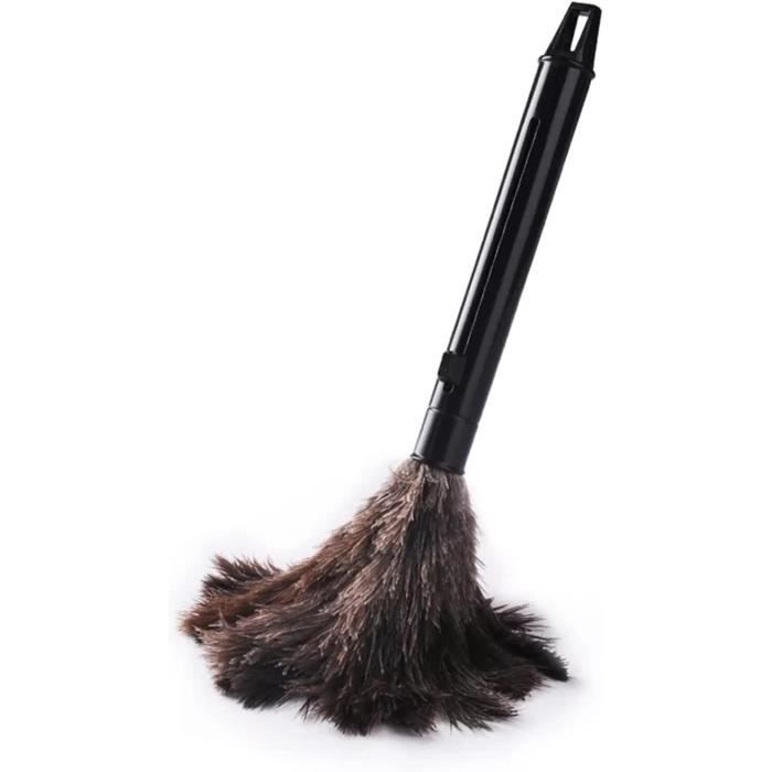 Ensemble plumeau ménage Autruche plumeau Voiture poussière Balayage ...