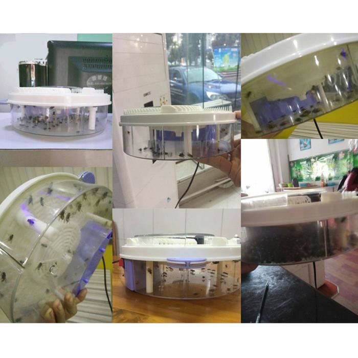 Fafeicy Insectifuge Électrique Entièrement Automatique pour Attraper ...