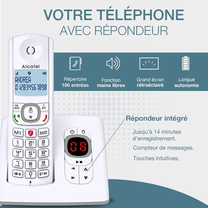 Téléphone Fixe Sans Fil - TWINBIRD - F530 Voice - Répondeur - Écran ...