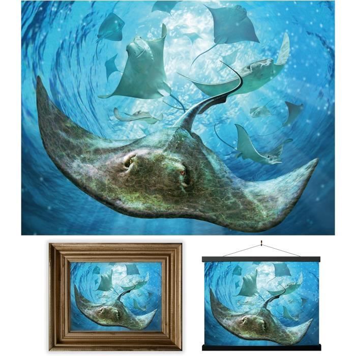 Affiche Murales Lenticulaires Raies De Deluxebase. Poster Océan 3D Sans ...